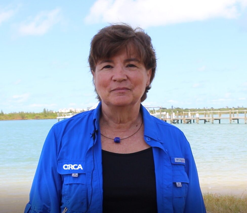 Shell club to hold monthly meeting - SANIBEL-CAPTIVA - Island Reporter ...